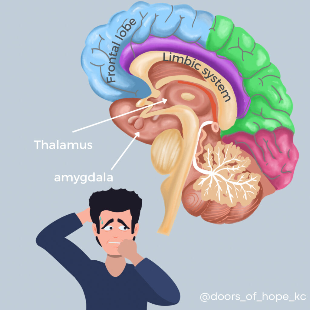 Effects of Trauma on the Brain and Body - Doors of Hope Counseling