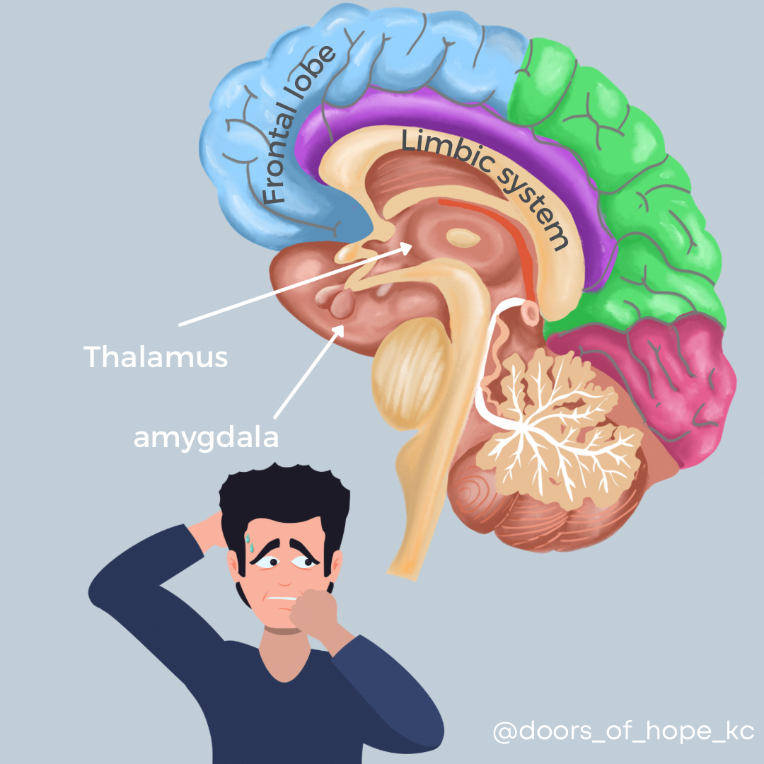 Effects of Trauma on the Brain and Body - Doors of Hope Counseling